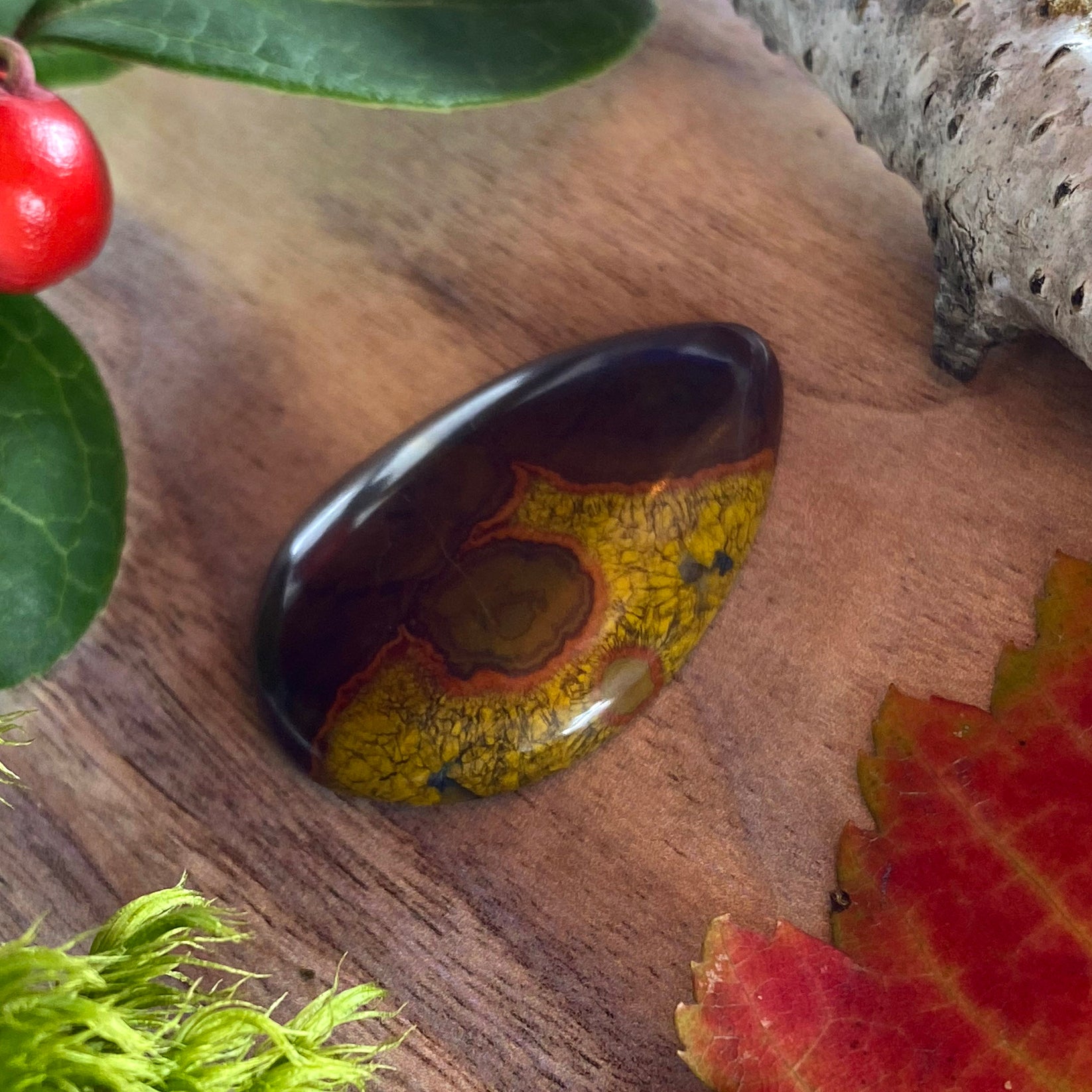 Morgan Hill Poppy Jasper Cabochon - Stone Treasures by the Lake