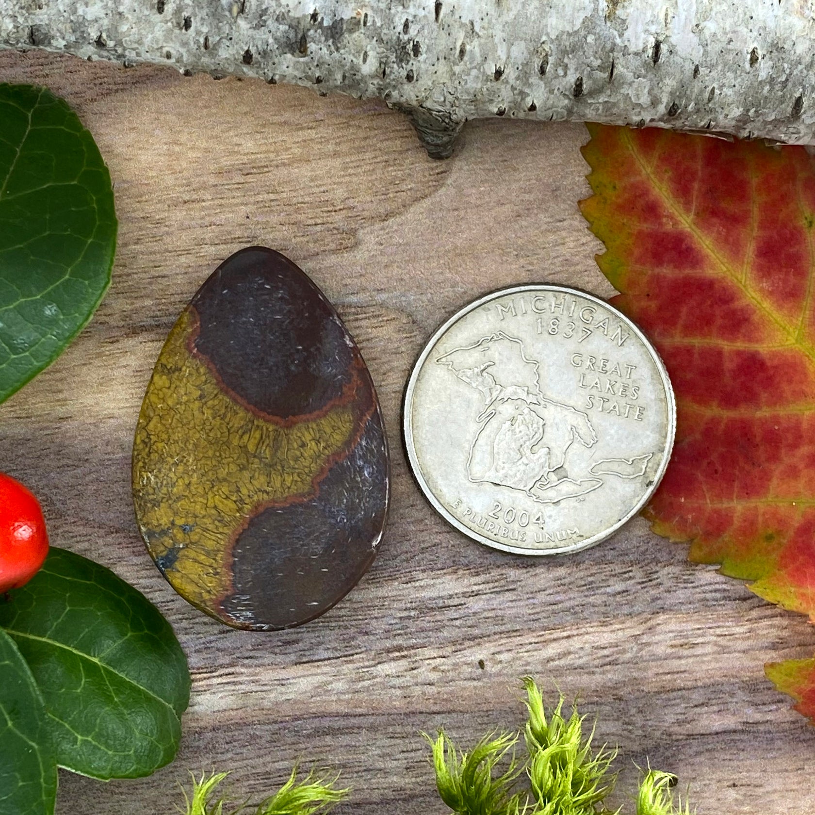Morgan Hill Poppy Jasper Cabochon - Stone Treasures by the Lake